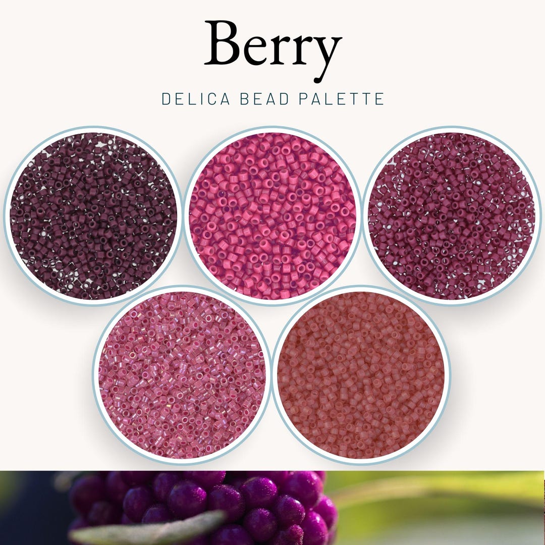 Miyuki Delica Bead Color Palette 11/0 Seed Bead Set Beading Starter Kit ...