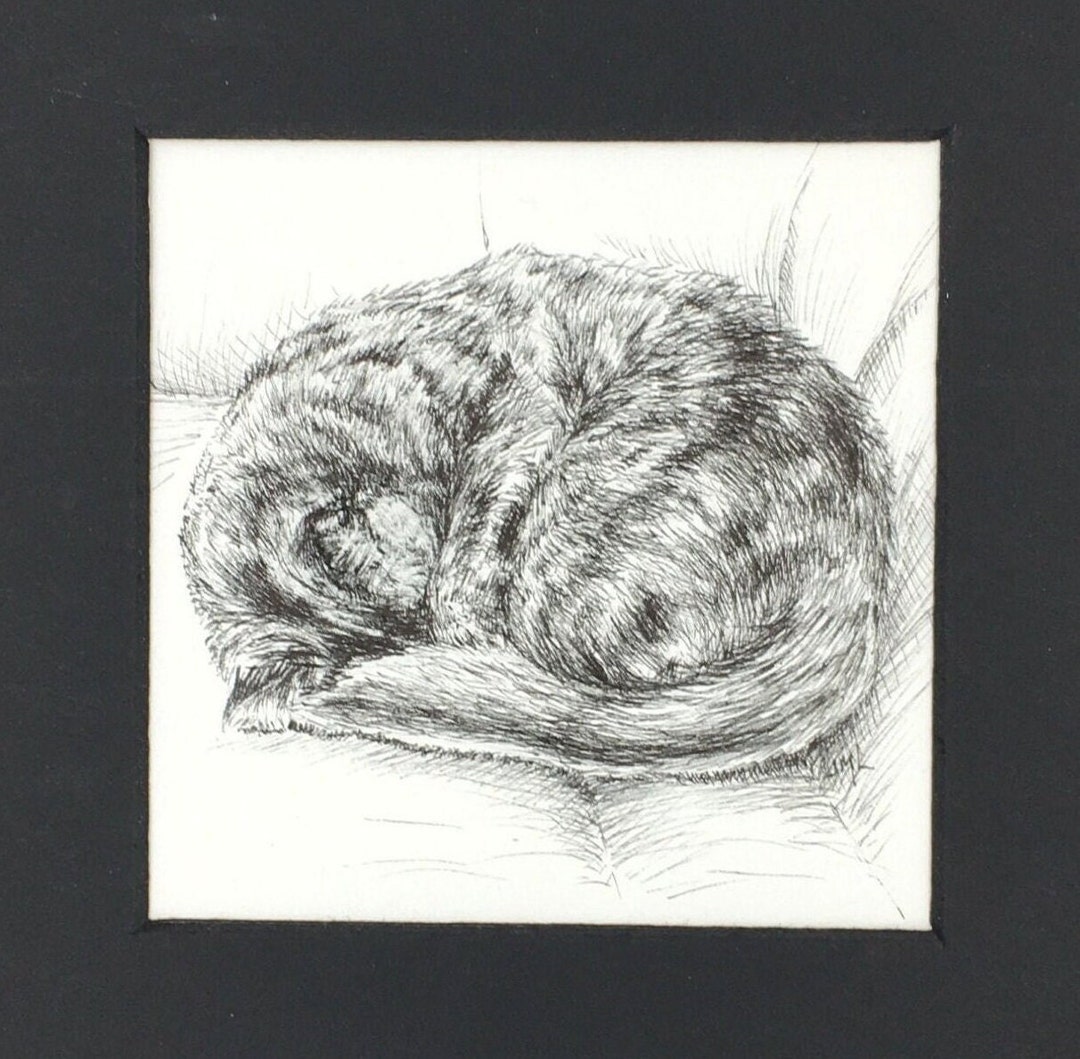 Sleeping Tortoiseshell Cat, Original Pen and Ink Drawing, a Special ...