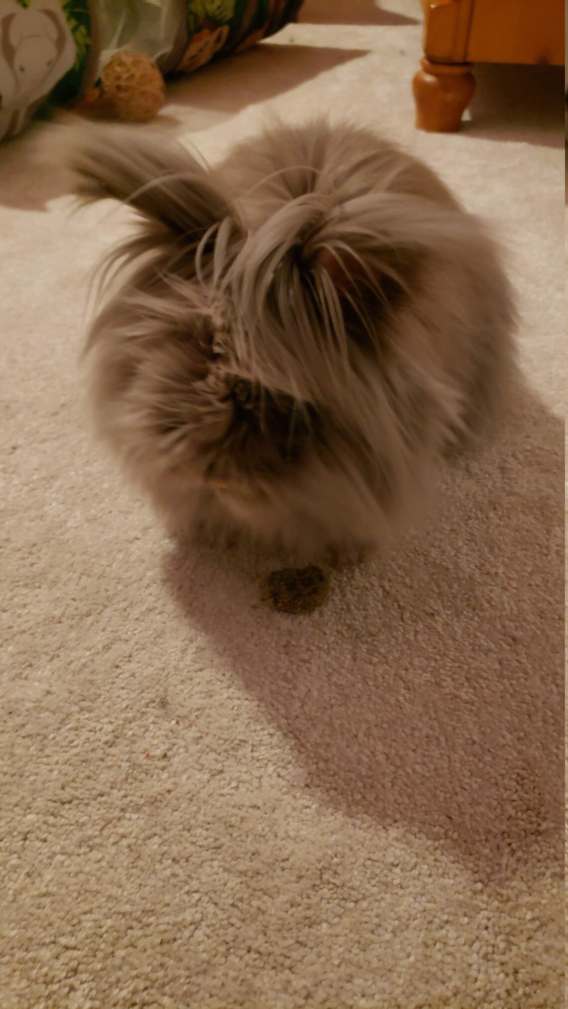 Strawberry Banana Waffle Treats for Rabbits | Etsy