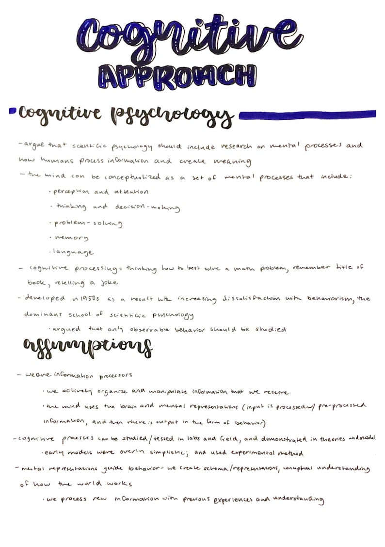 IB Psychology Cognitive Approach Notes - Etsy