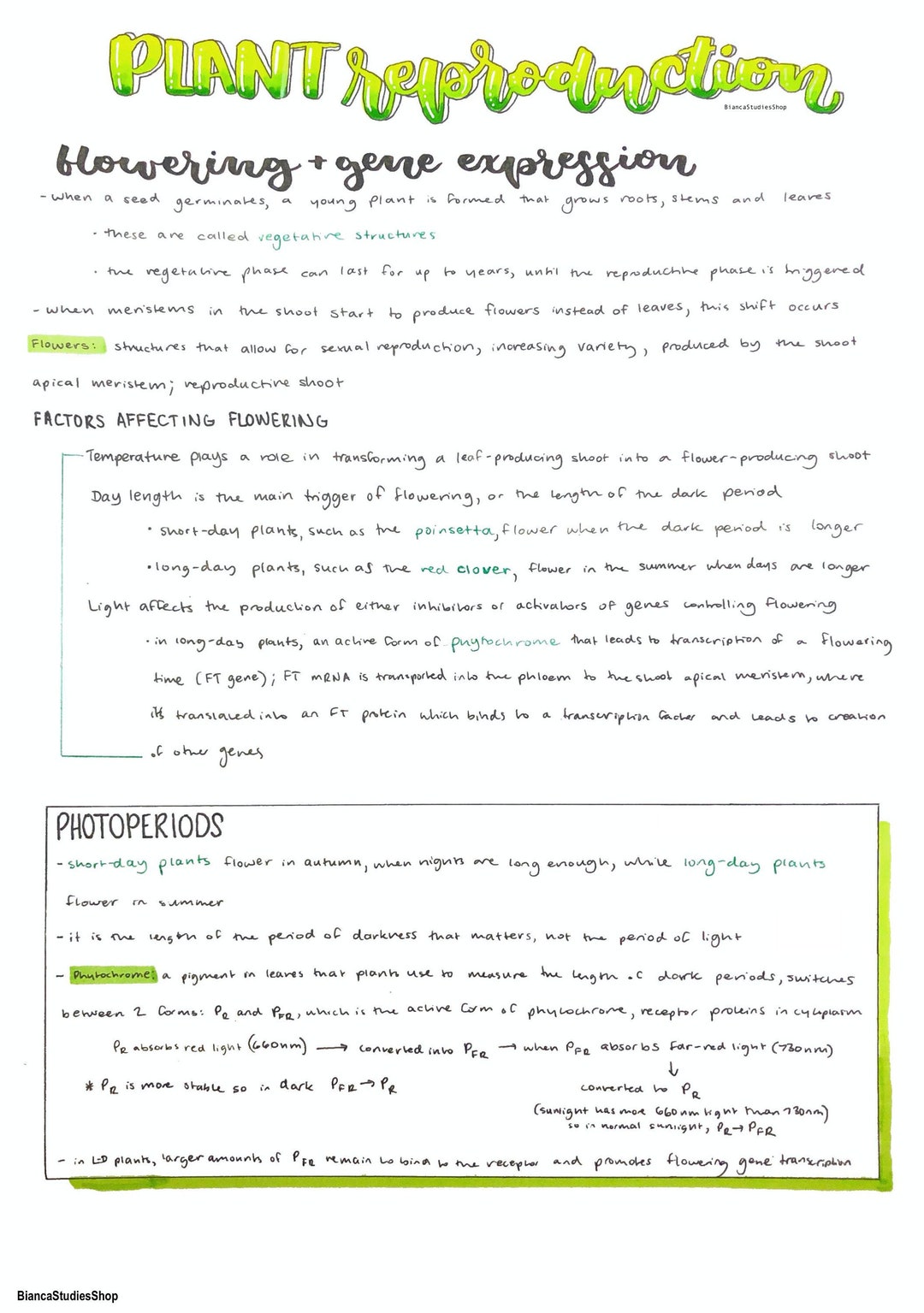 IB Biology: Chapter 9.4 Plant Reproduction Notes - Etsy