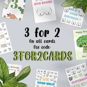 Have a Willy Great Birthday - Funny Willy Card for Him, Greeting Card ...