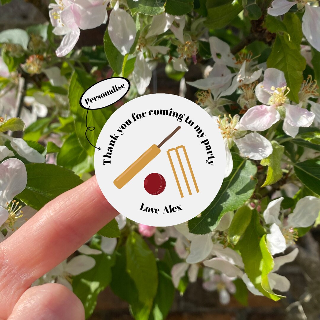 Personalised Cricket Stickers, Party, Thank You, Sweet Cone Bags ...