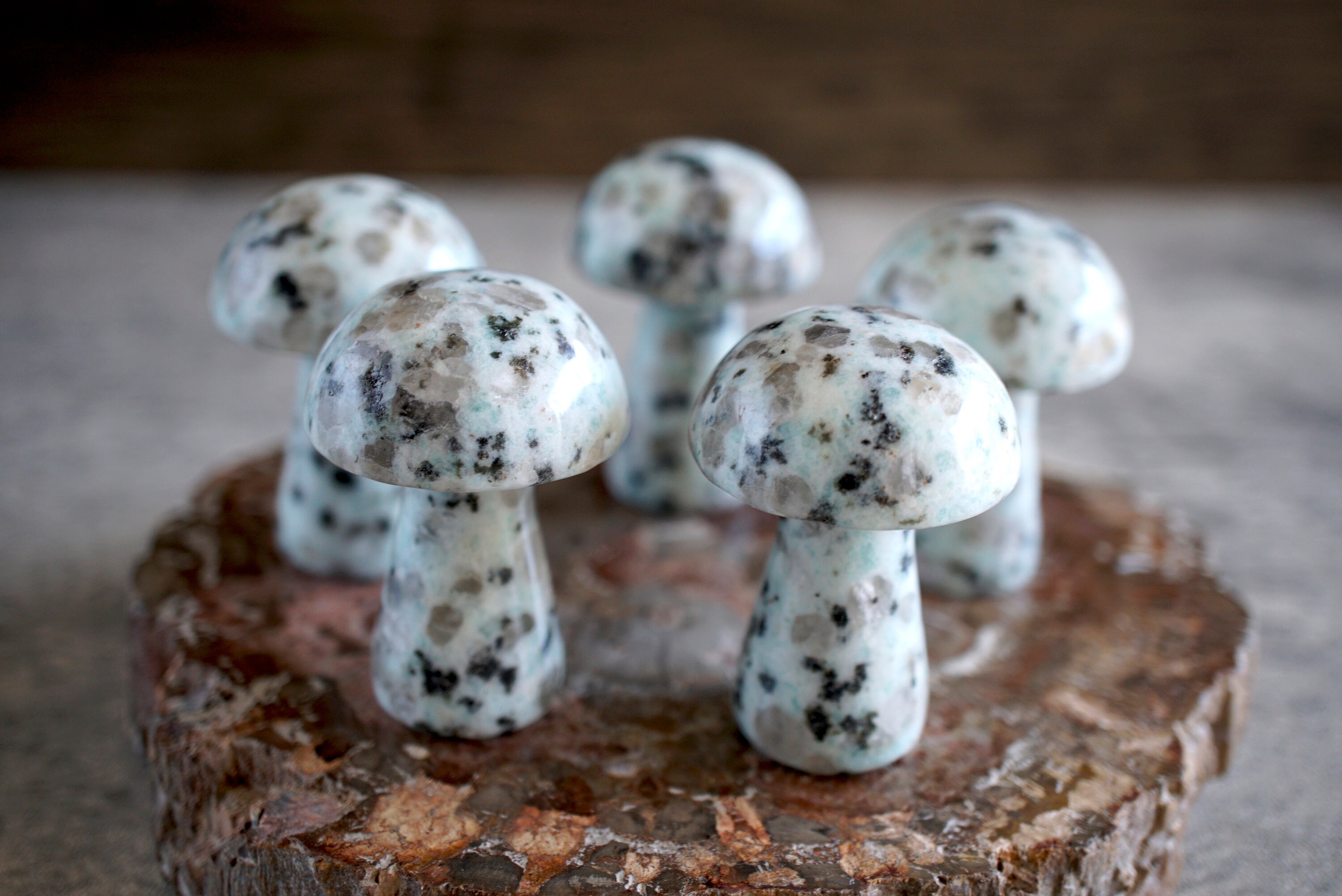 Cute Kiwi Jasper Mushroom Natural Crystal Mushroom Carving - Etsy