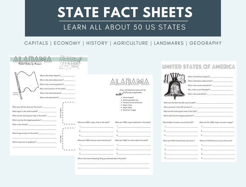 USA State Fact Sheets - Etsy