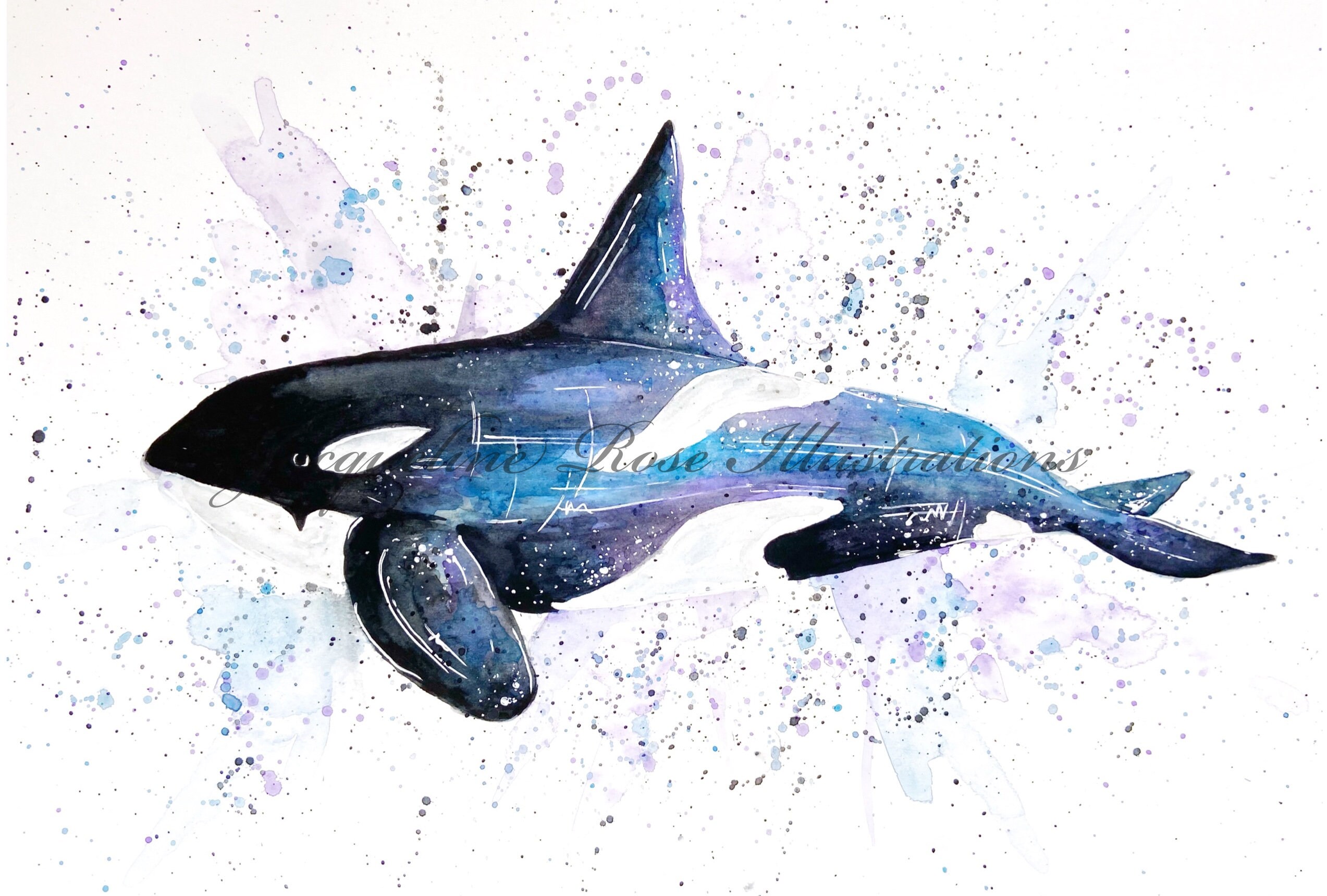 Orca Watercolour Painting Print. Whale Art. Whale | Etsy