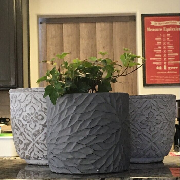 Whitewashed Floral Motif Concrete Planter With Drainage, 6 Inch, 7 Inch ...