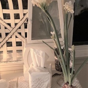 Faux Paperwhite With Bulb and Roots Artificial Paperwhite Stem ...