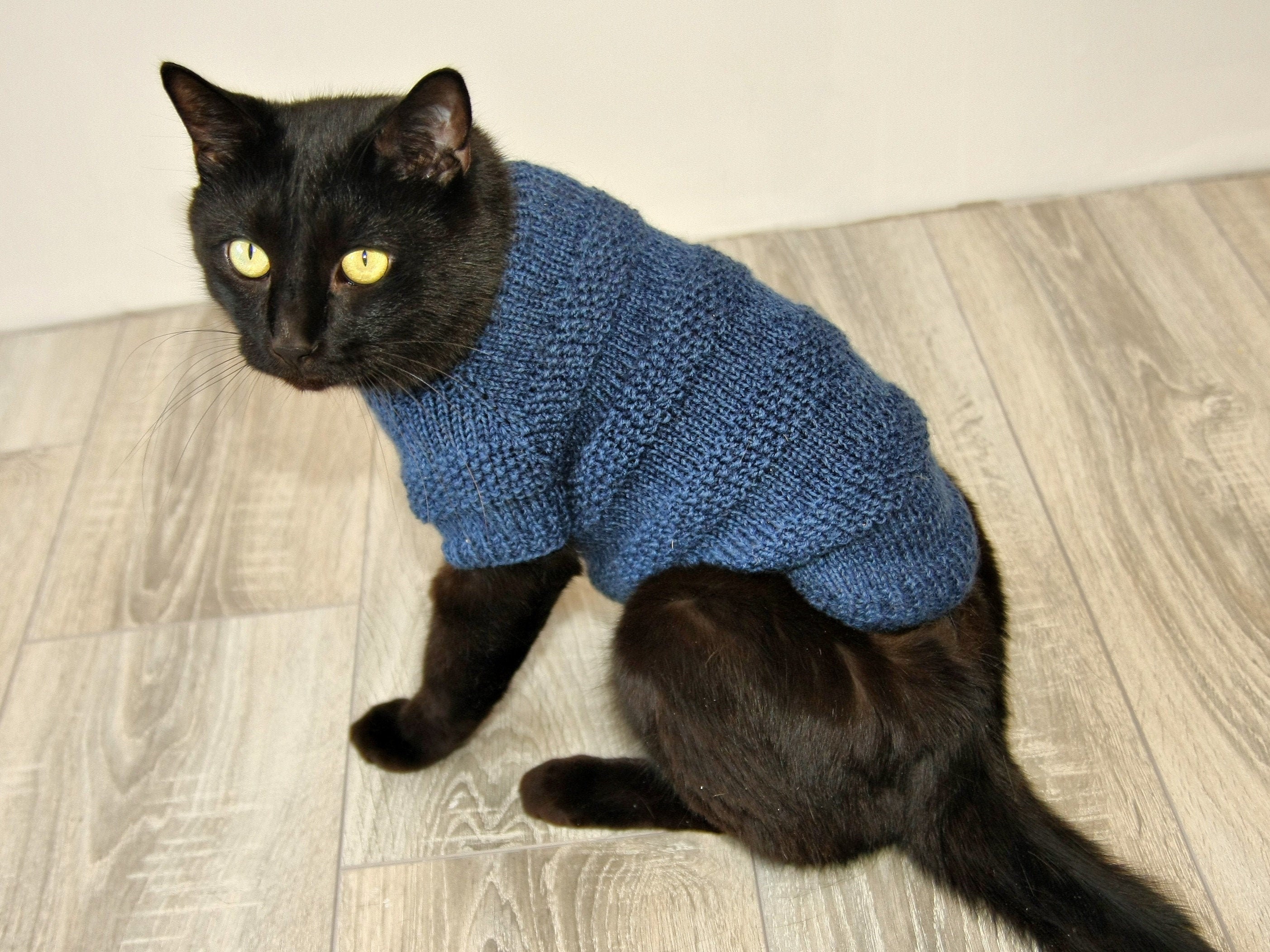 Hand Knitted Cat Sweater CATerpillar Handmade | Etsy