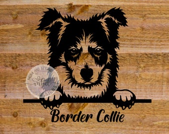 Border Collie Peeking - Etsy