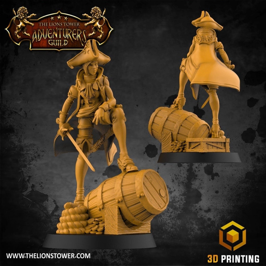 Female Captain Pirate | 3D Printed Resin Miniature | 28mm 32mm 100mm ...