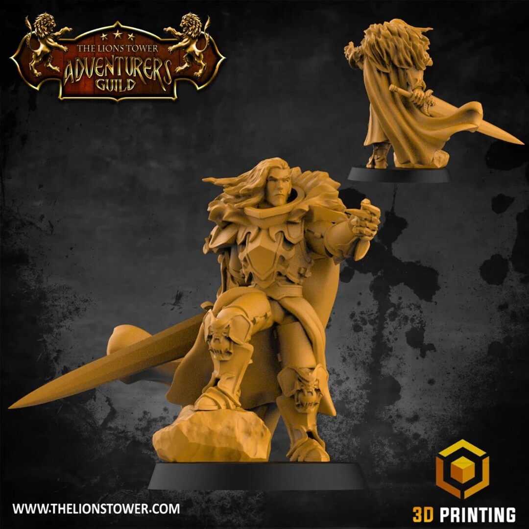 Heroic Paladin Knight Outstanding 3D Printed Fantasy Tabletop ...