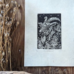 Goatbeard. Limited Edition Linocut Print. - Etsy