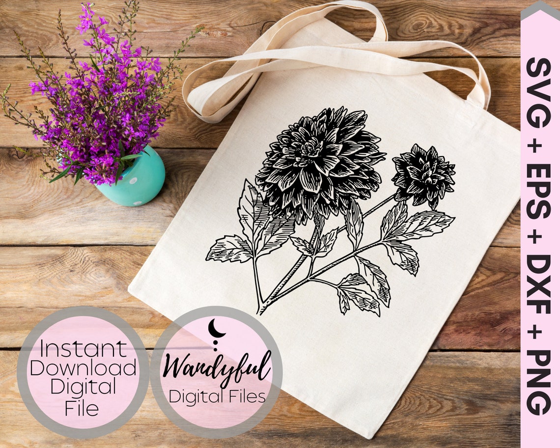 Dahlia SVG Dahlia Blooms Flowers Svg Blooms Svg Flower Sketch Dahlia ...