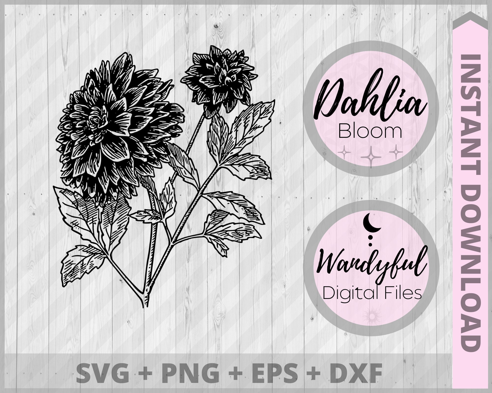 Dahlia SVG | Dahlia Blooms | Flowers Svg | Blooms Svg | Flower Sketch ...