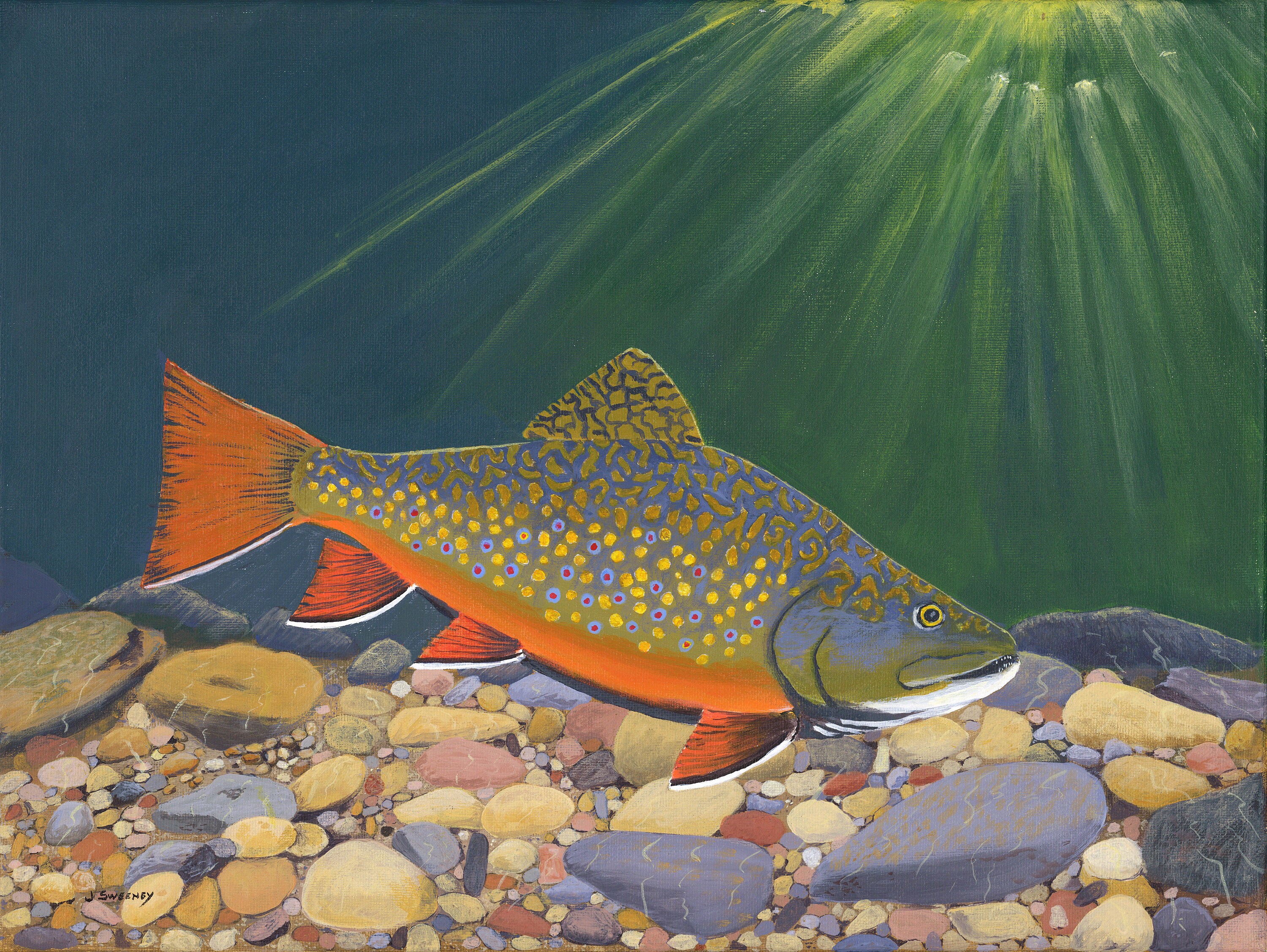 Brook Trout Painting