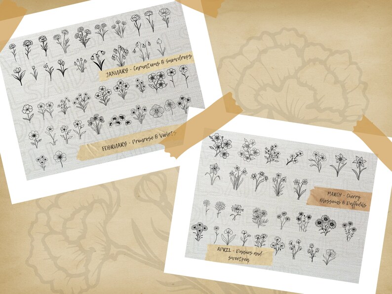 180+ Birth Month Flower SVG + PNG Clipart Bundle - Transparent ...