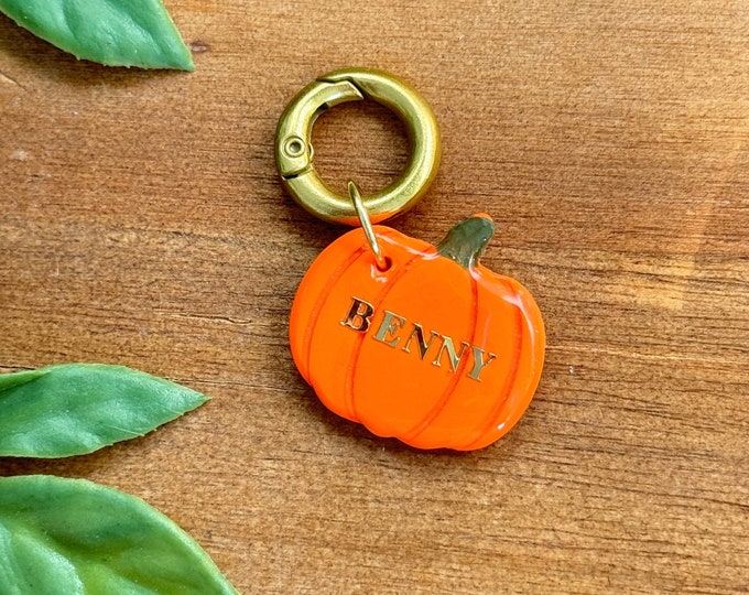 Pumpkin Name Tags for Pets, Polymer Clay Tag, Silent ID Tag ...