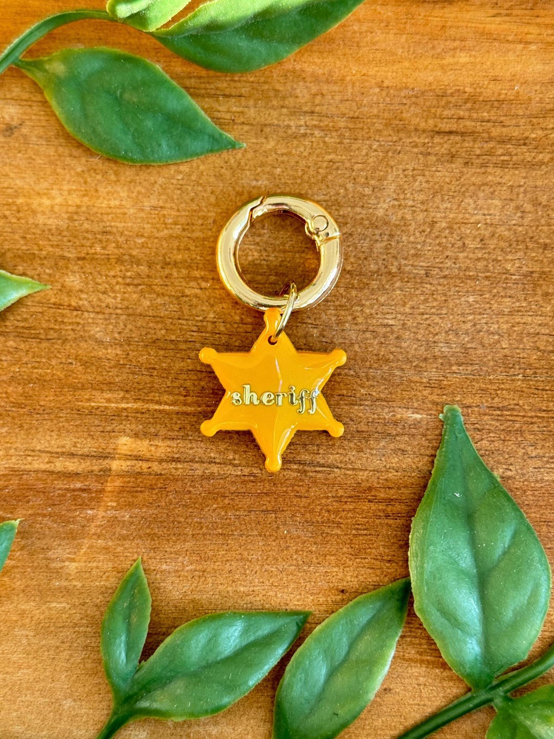 Sheriff Badge Shaped Name Tags for Pets, Polymer Clay Tag, Silent ID ...
