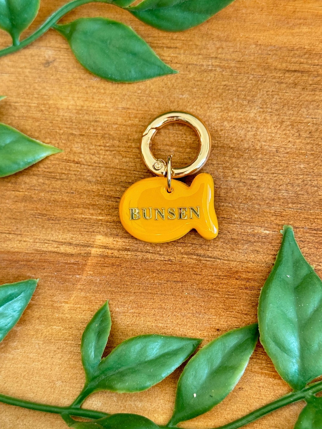 Gold Fish Name Tags for Pets, Polymer Clay Tag, Silent ID Tag ...
