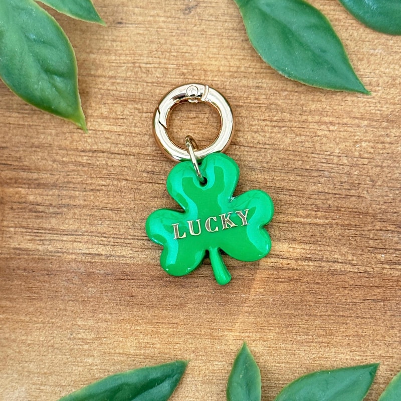 Shamrock Name Tags - Etsy