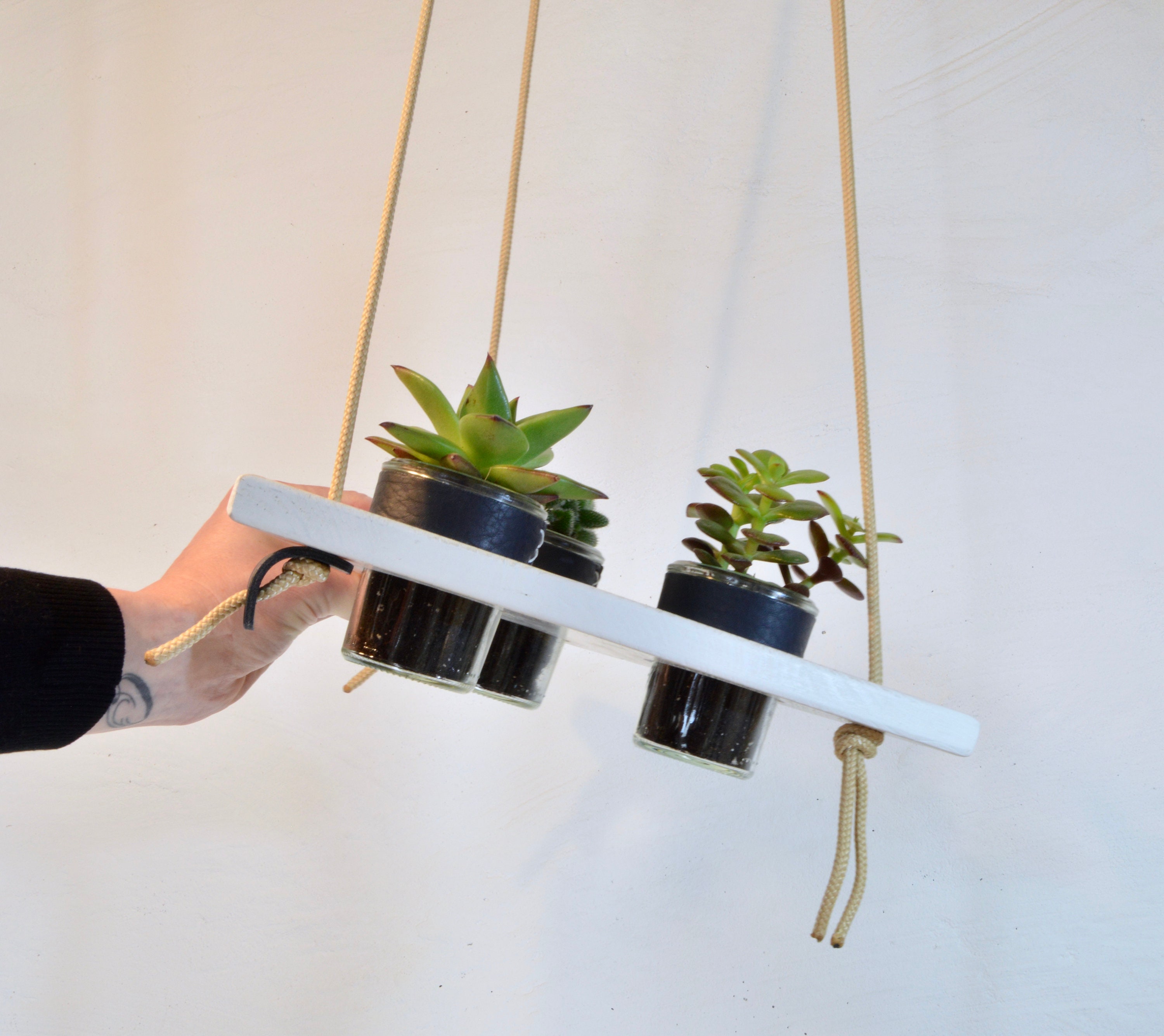Plants Traffic Light DRICK in White / Blue - Etsy