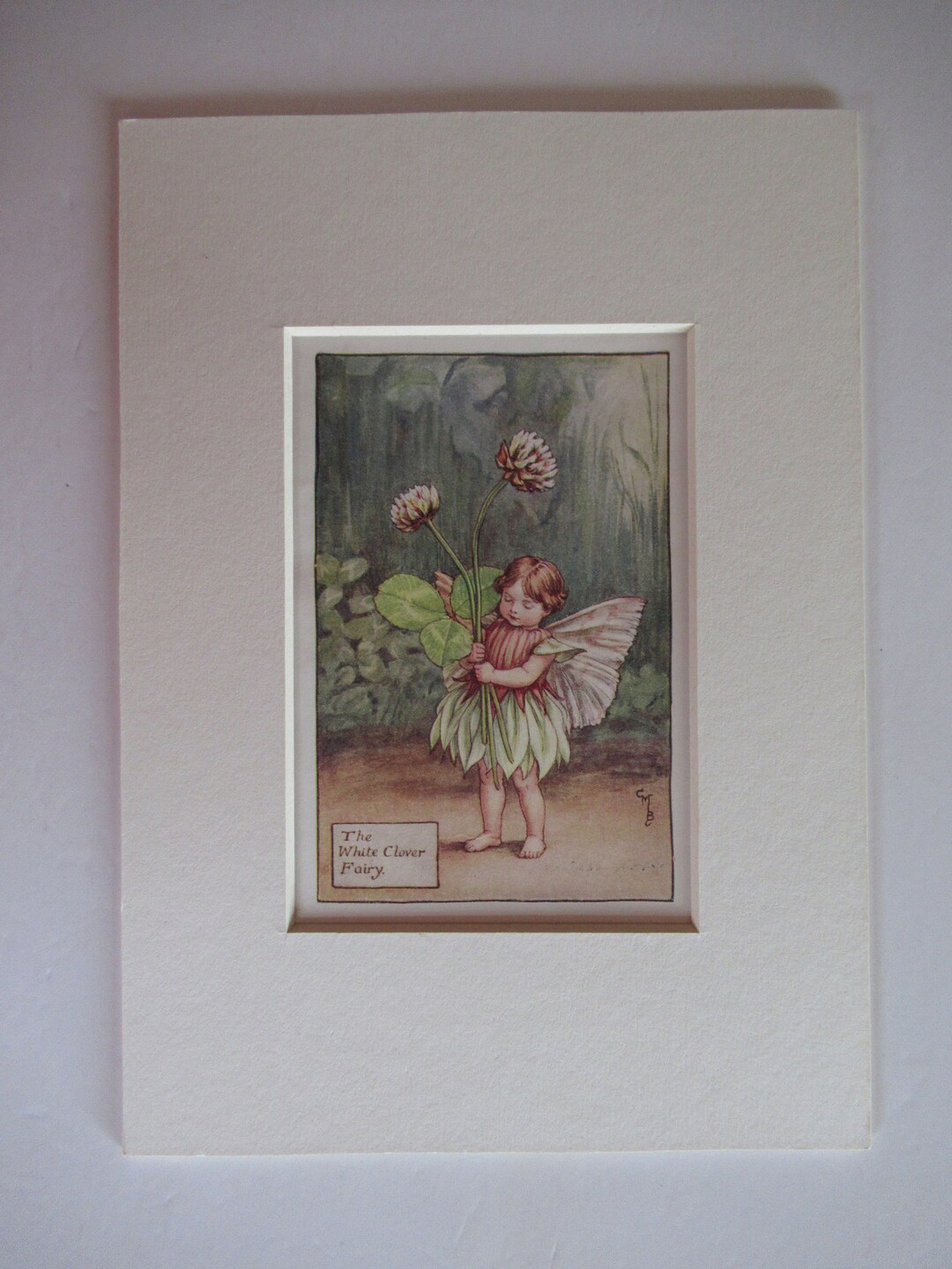 Flower Fairies/fairy: the WHITE CLOVER FAIRY, Summer Fairy, Vintage ...