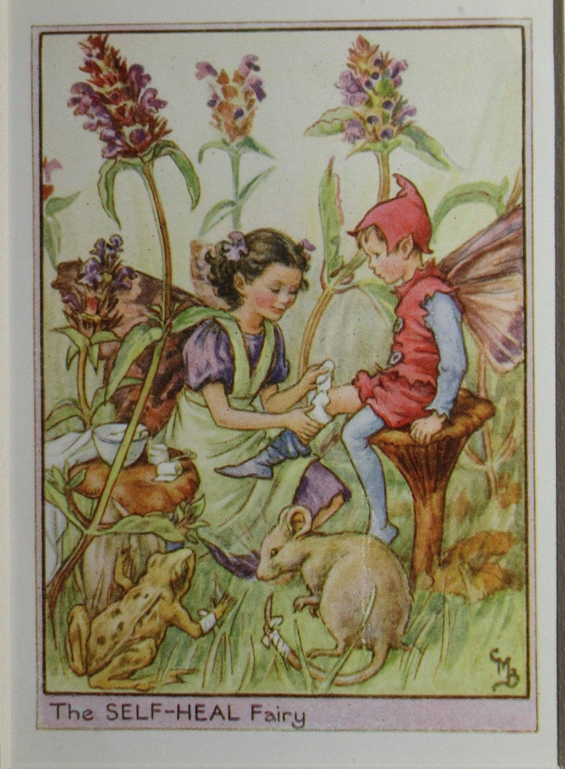 Flower Fairies/fairy: the SELF HEAL FAIRY Wayside Fairy - Etsy