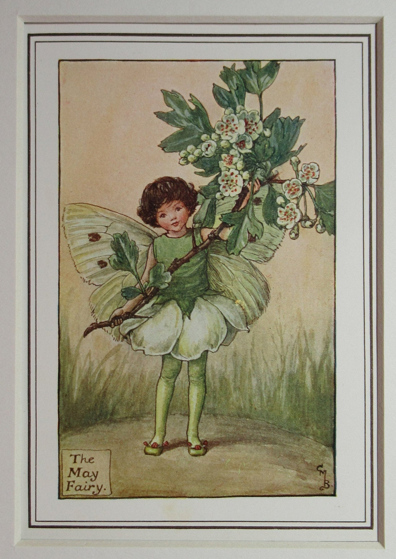 Flower Fairies/fairy: the MAY FAIRY 1927 Deluxe Print Rare - Etsy