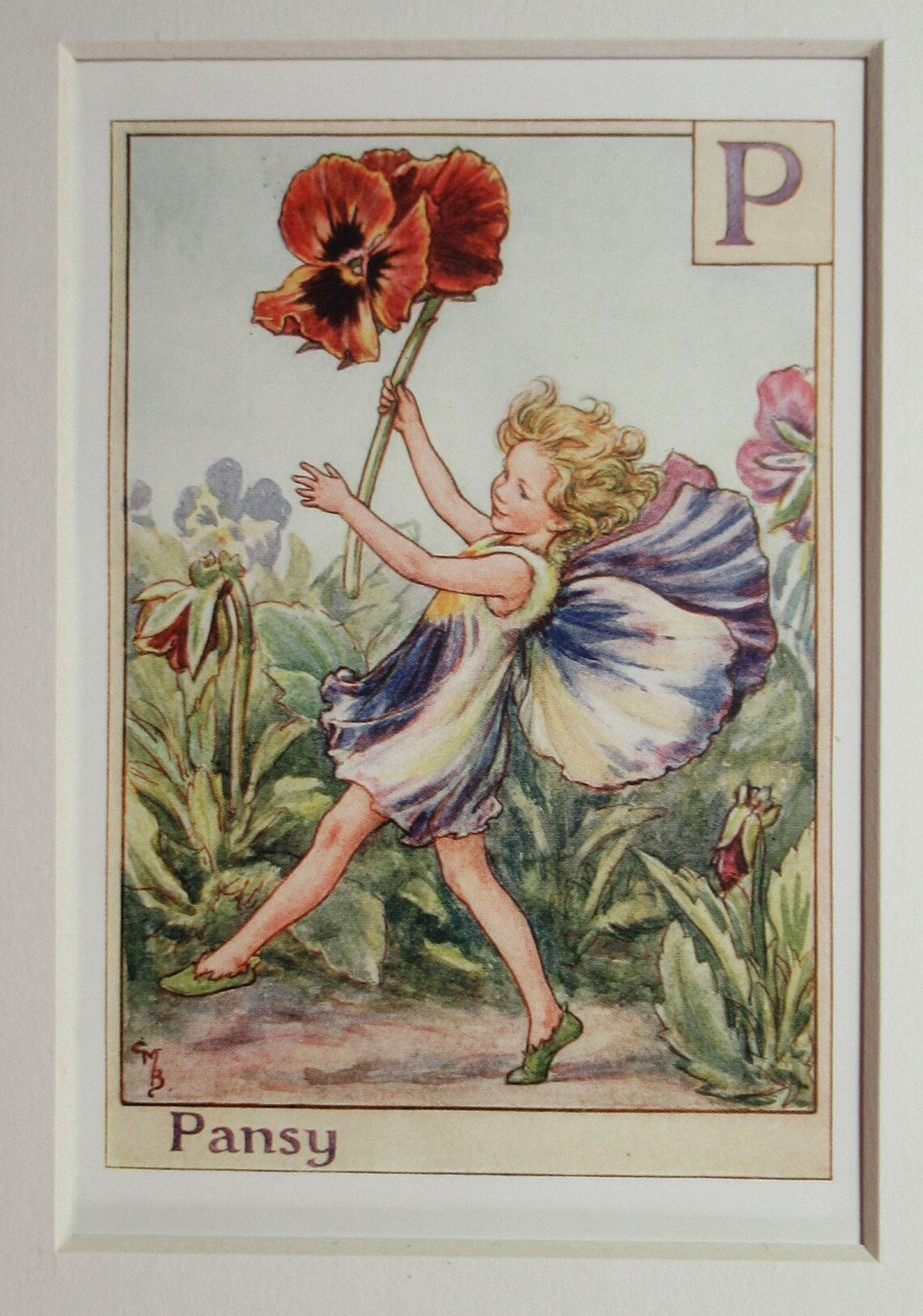 Alphabet Flower Fairies/fairy: P for PANSY FAIRY, Vintage Print, 1930's ...