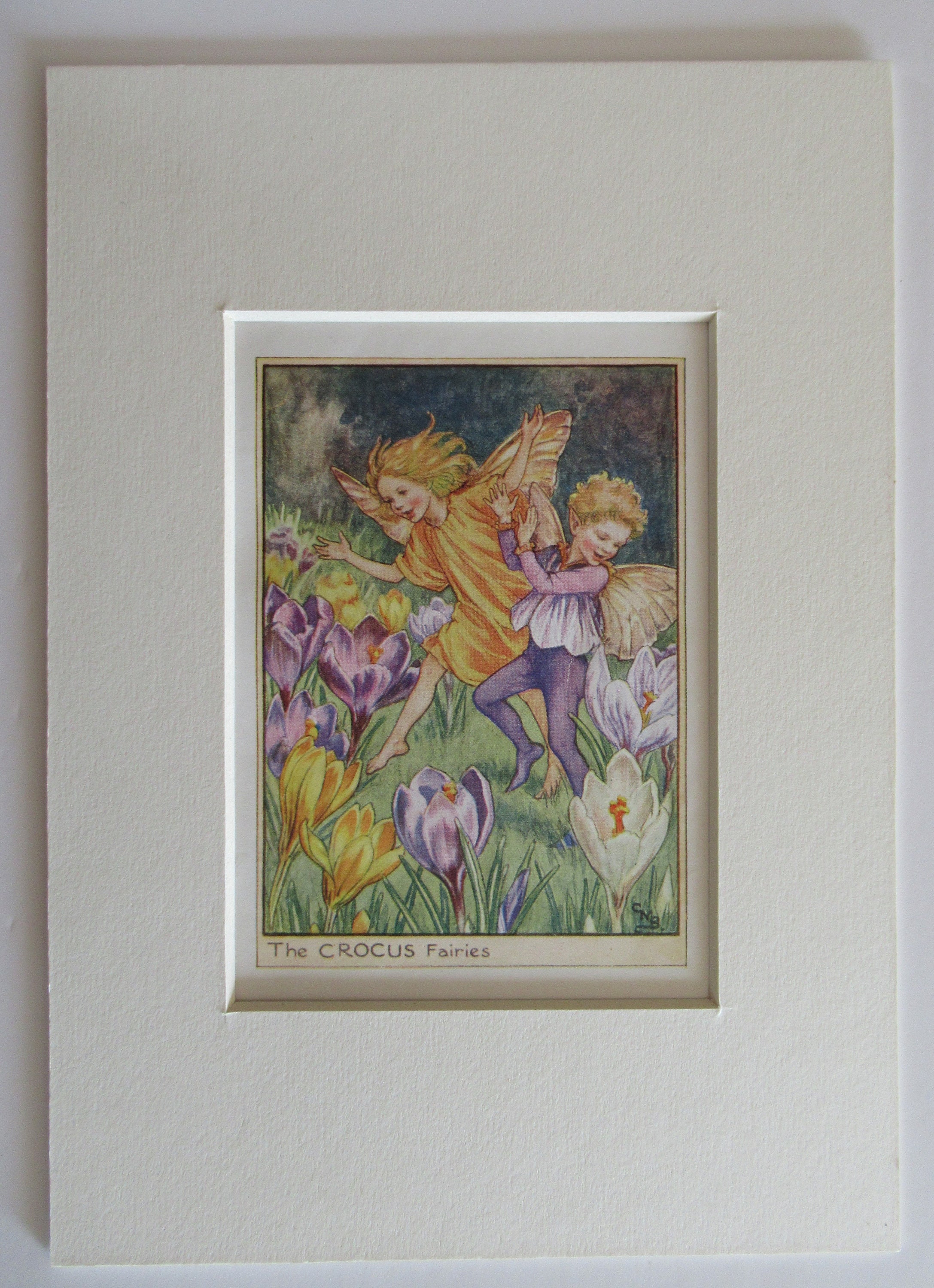 Flower Fairies/fairy: the CROCUS FAIRIES, Vintage Print, 1930's/40's ...