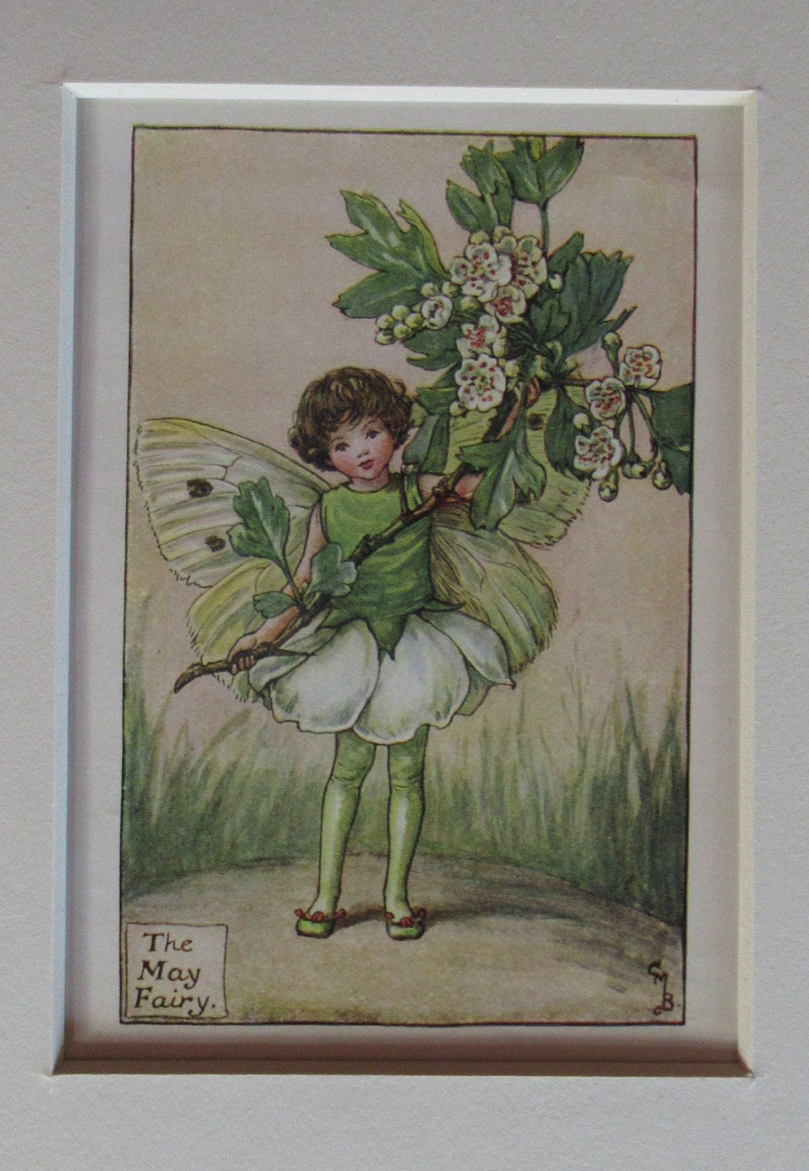 Flower Fairies/fairy: the MAY FAIRY, Spring Fairy, Vintage Print, 1930 ...