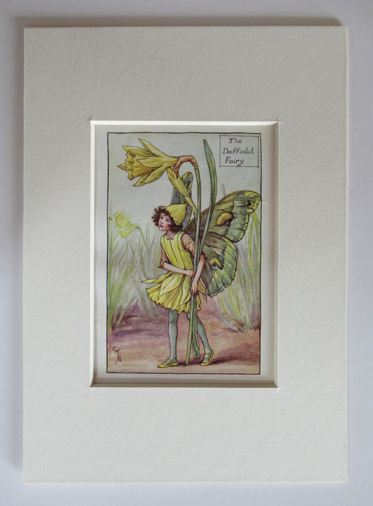 Flower Fairies/fairy: the DAFFODIL FAIRY Vintage Print | Etsy