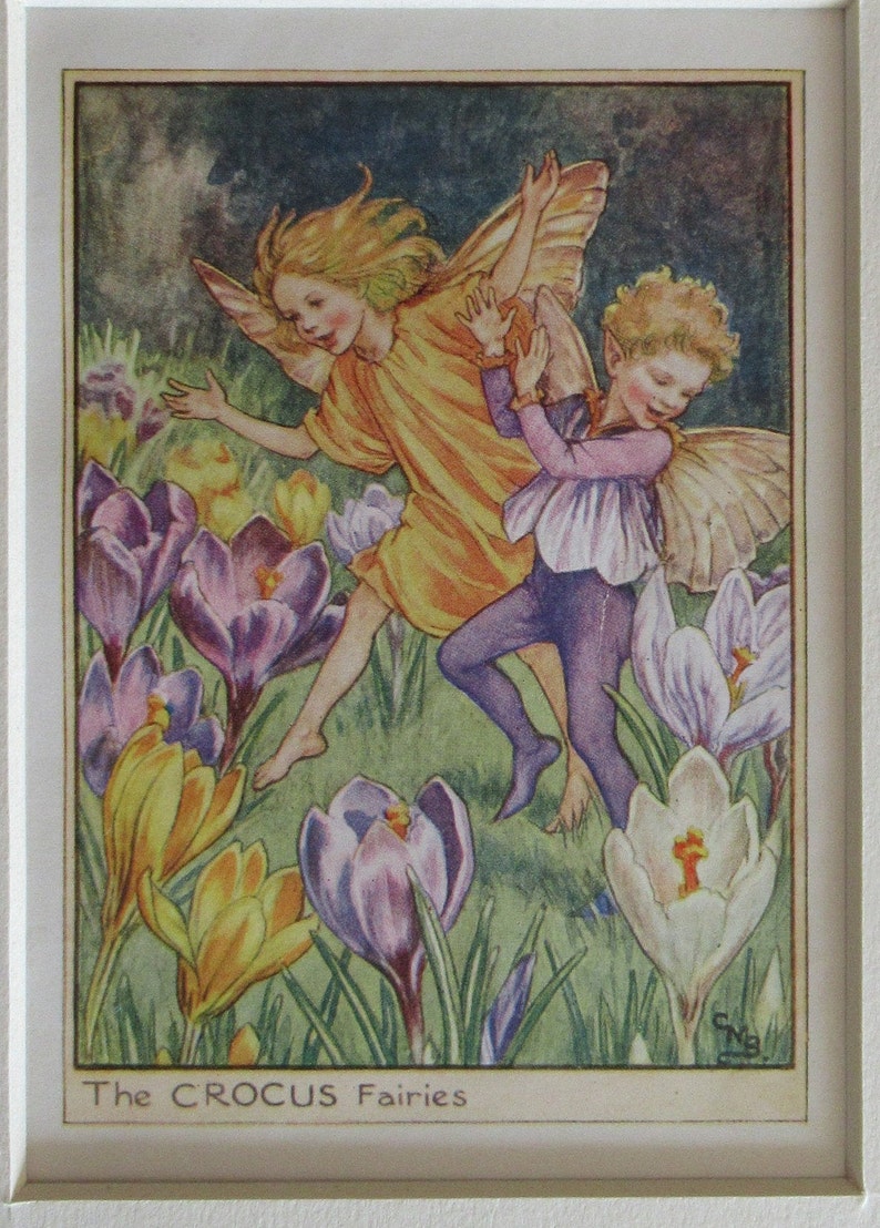 Flower Fairies/fairy: the CROCUS FAIRIES, Vintage Print, 1930's/40's ...