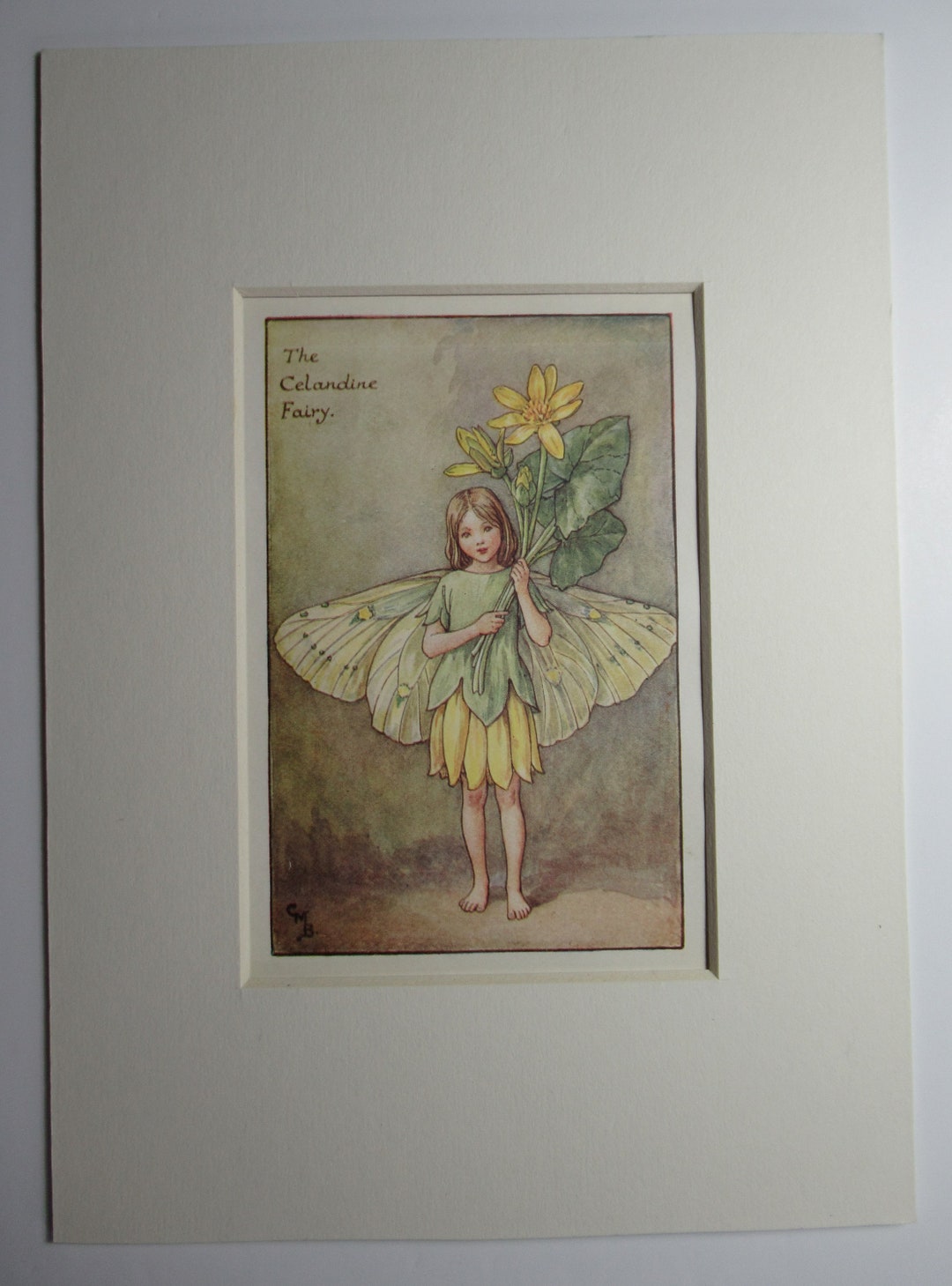Flower Fairies/fairy: the CELANDINE FAIRY, Vintage Print, Spring Fairy ...