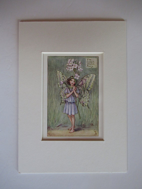 Flower Fairies/fairy: the LADYS SMOCK FAIRY Spring Fairy - Etsy