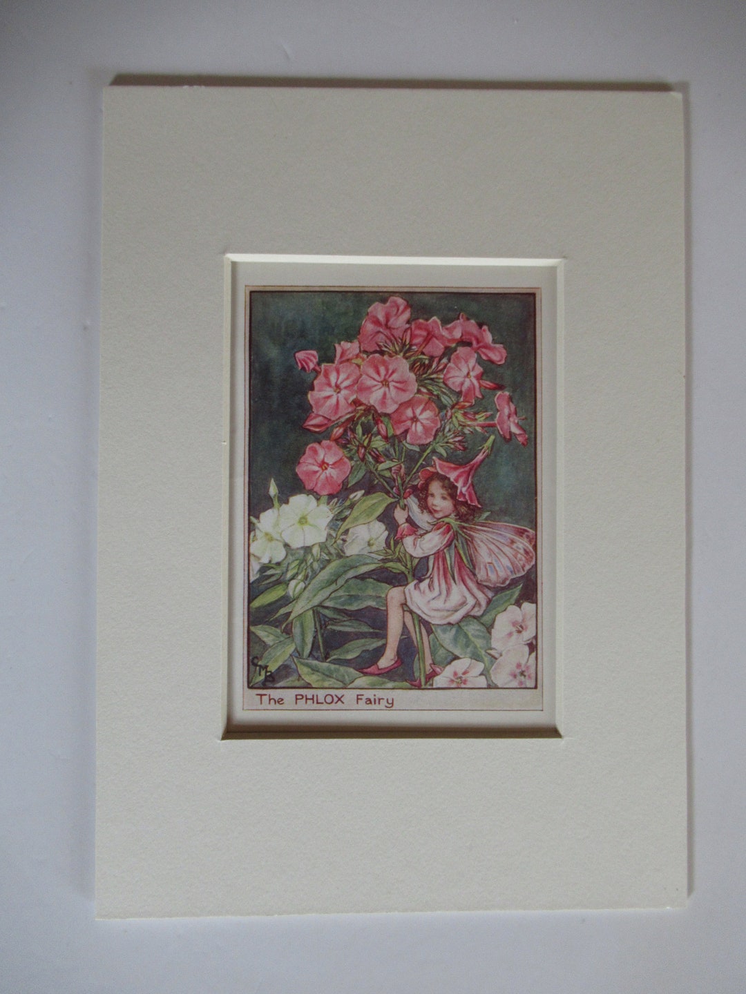 Flower Fairies/fairy: the PHLOX FAIRY, Vintage Print, Garden Fairy ...