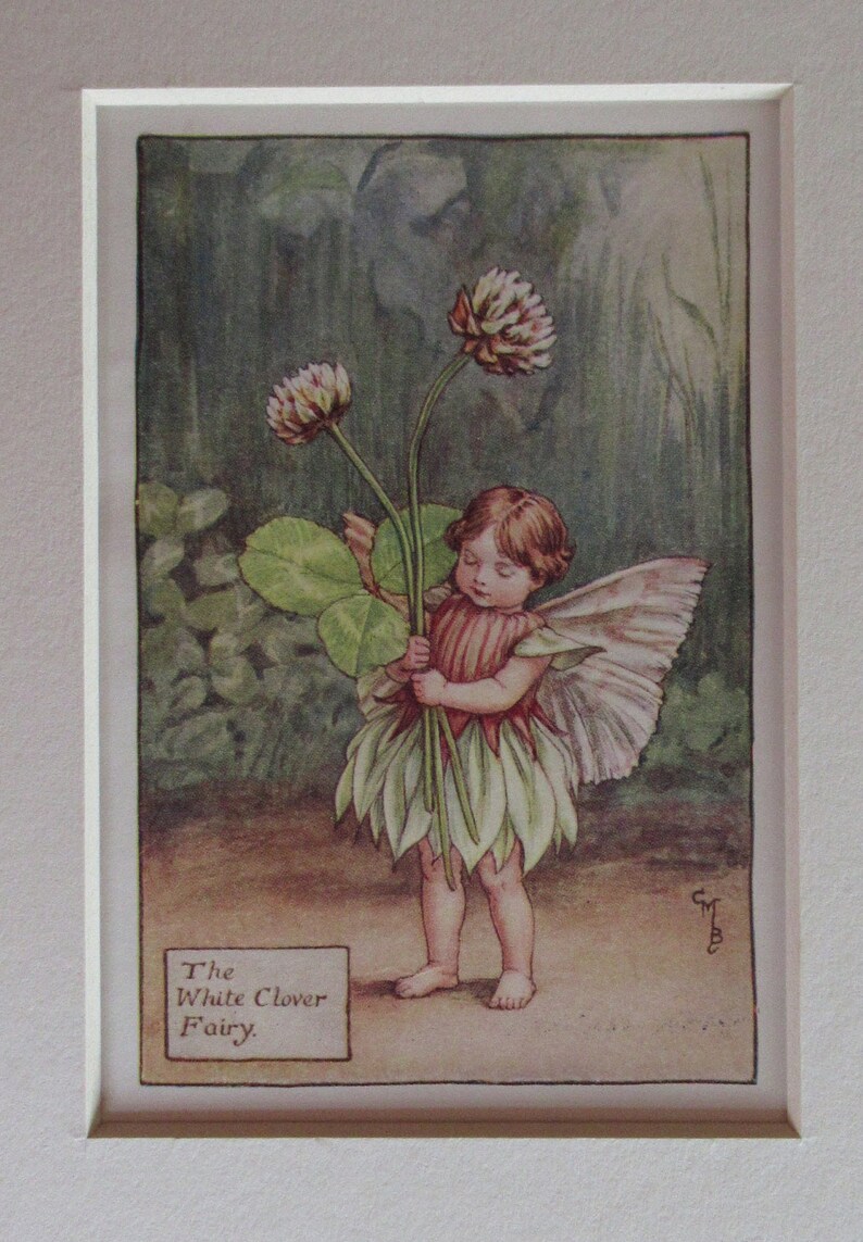 Flower Fairies/fairy: the WHITE CLOVER FAIRY, Summer Fairy, Vintage ...