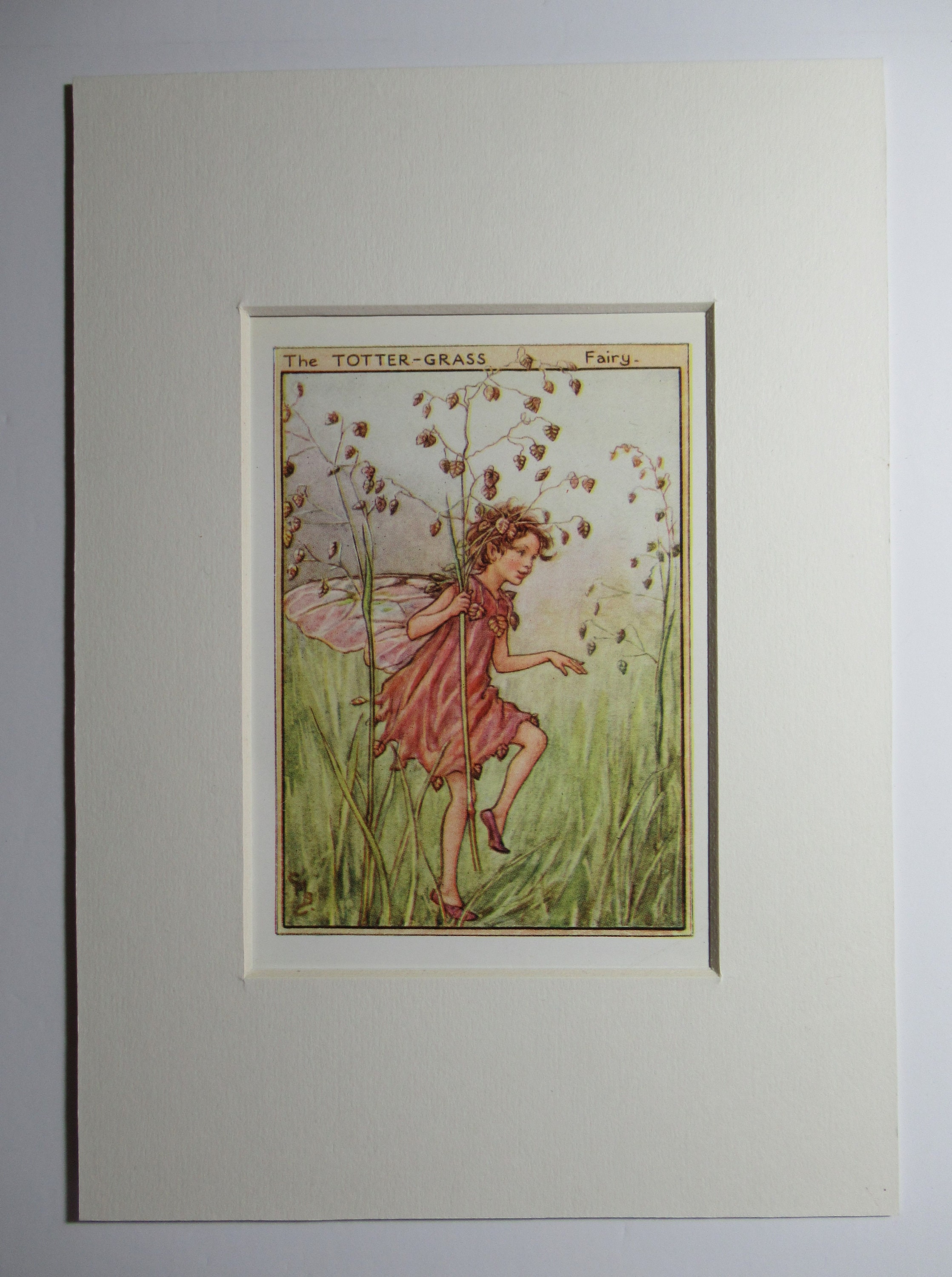 Flower Fairies/fairy: the TOTTER GRASS FAIRY, Wayside Fairy, Vintage ...