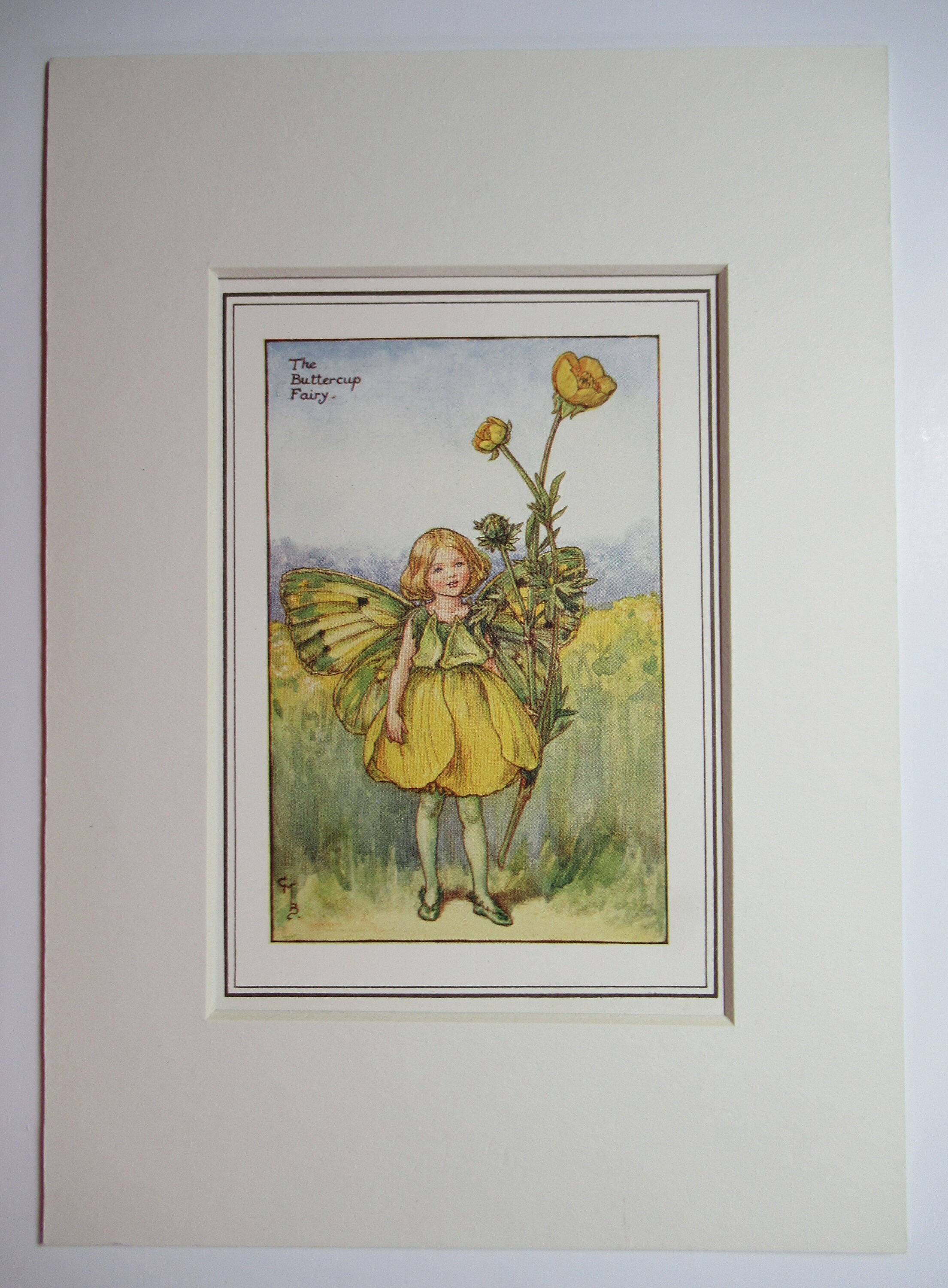 Flower Fairies/fairy: the BUTTERCUP FAIRY, Vintage Print, Rare, 1927 ...