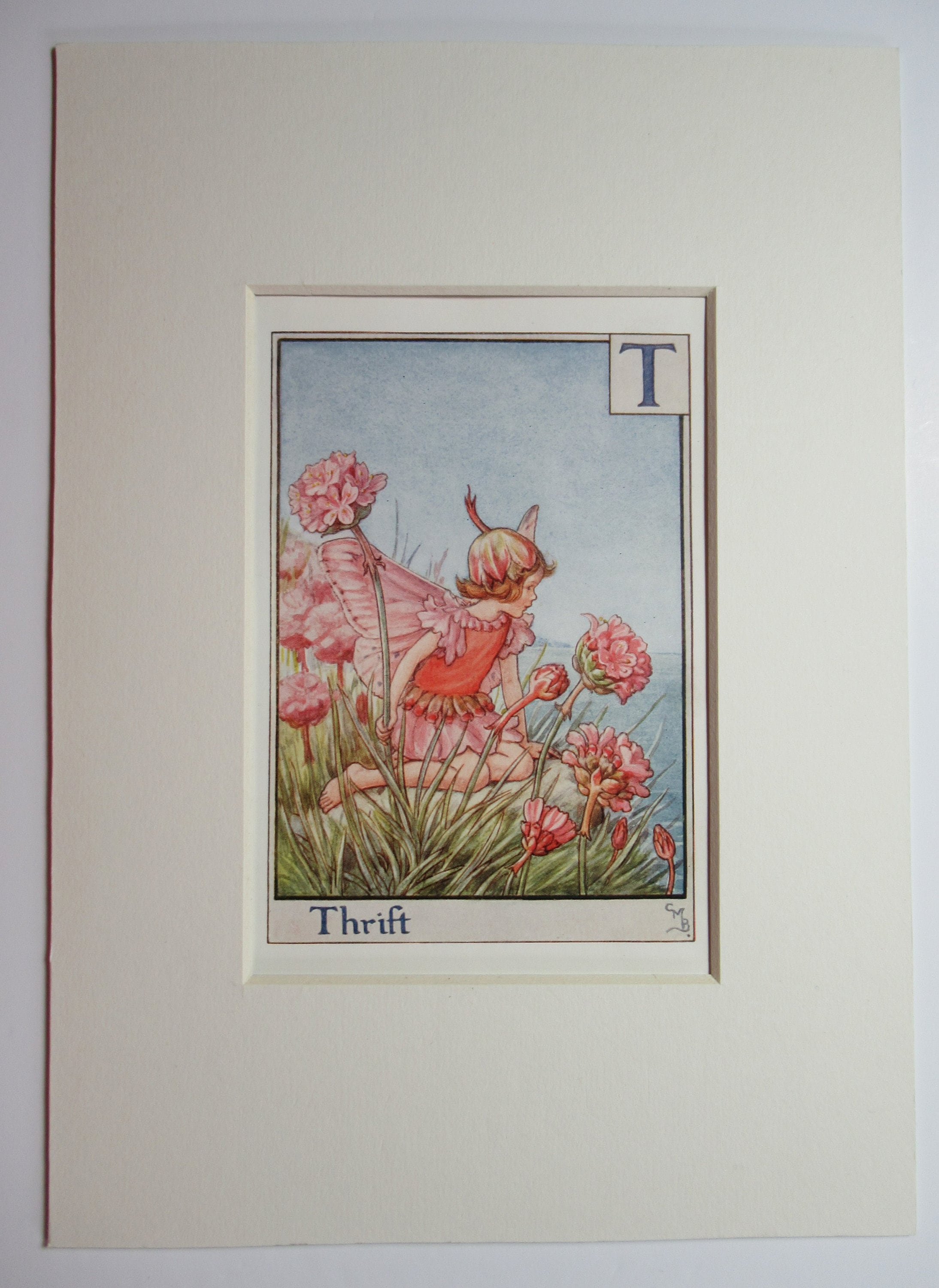 Alphabet Flower Fairies/fairy: T for THRIFT FAIRY, Vintage Print, 1930 ...