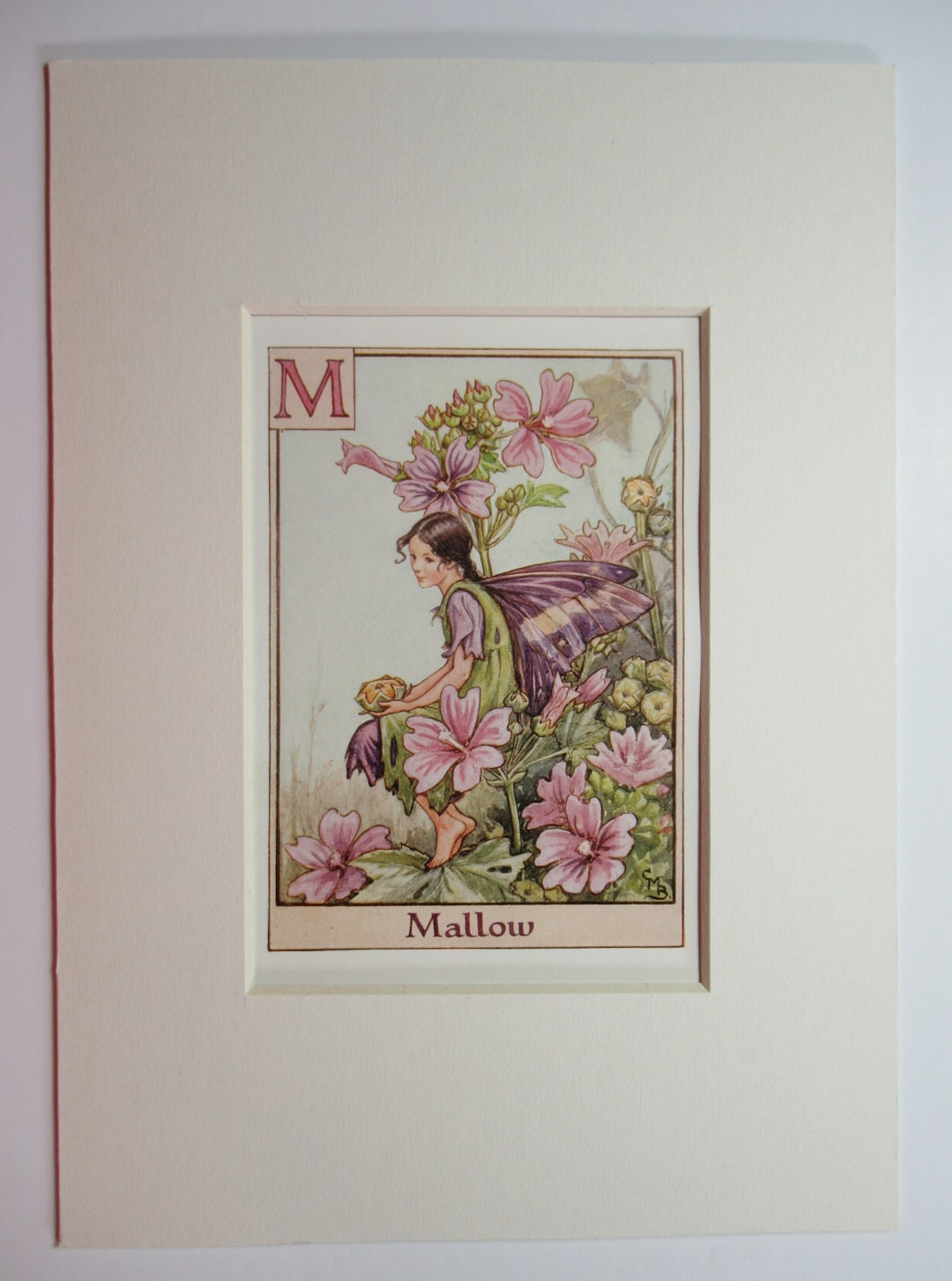 Alphabet Flower Fairies/fairy: M for MALLOW FAIRY, Vintage Print, 1930 ...