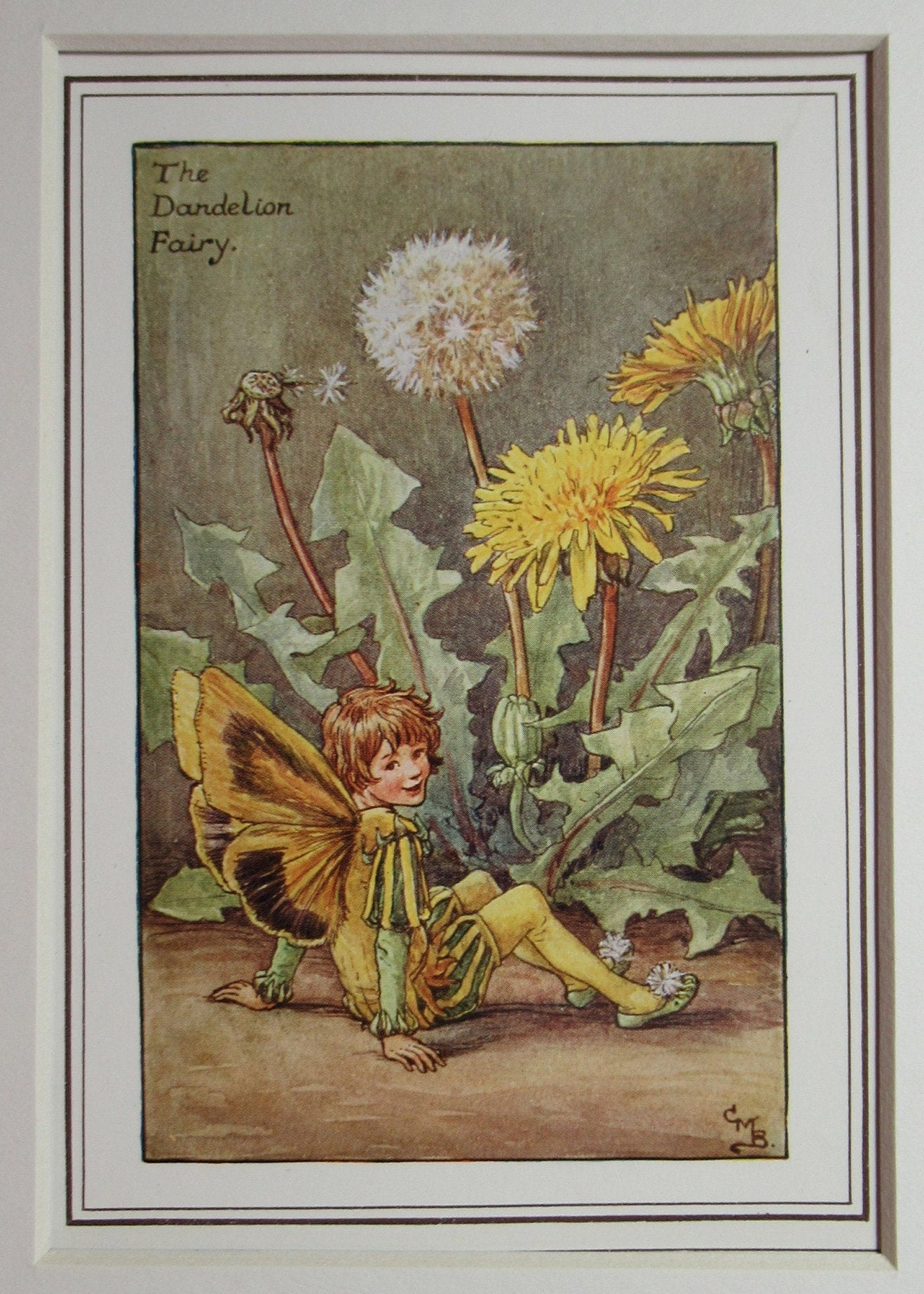 Flower Fairies/fairy: the DANDELION FAIRY, Vintage Print, Rare, 1927 ...