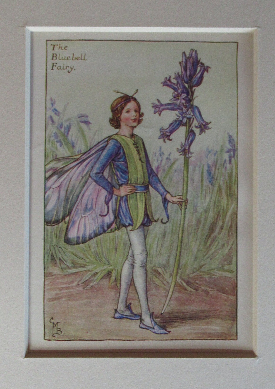 Flower Fairies/fairy: the BLUEBELL FAIRY, Spring Fairy, Vintage Print ...