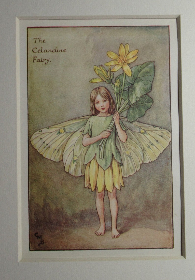Flower Fairies/fairy: the CELANDINE FAIRY, Vintage Print, Spring Fairy ...