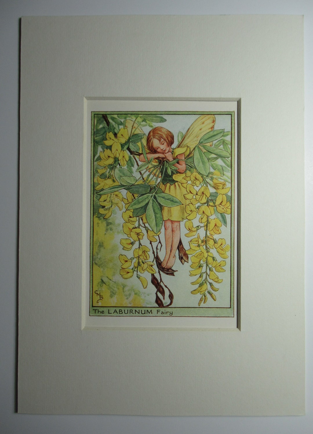 Flower Fairies/fairy: the LABURNUM FAIRY, Tree Fairy, Vintage Print ...