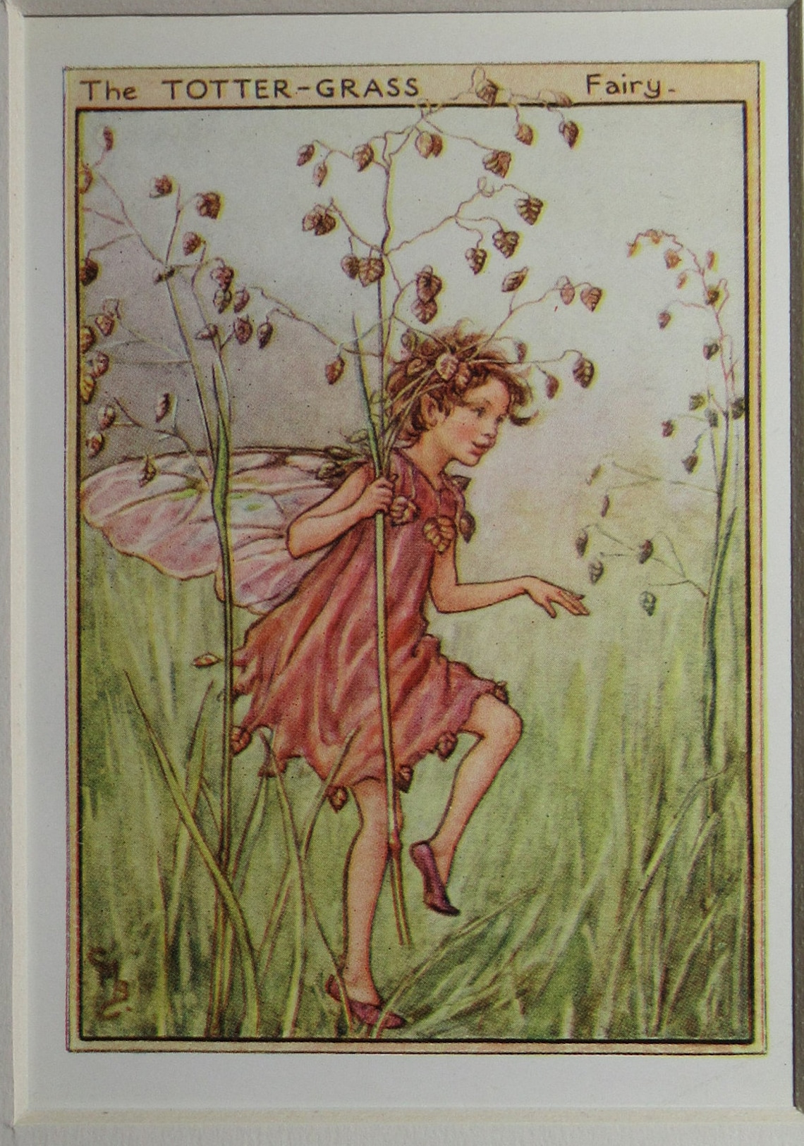 Flower Fairies/fairy: the TOTTER GRASS FAIRY, Wayside Fairy, Vintage ...