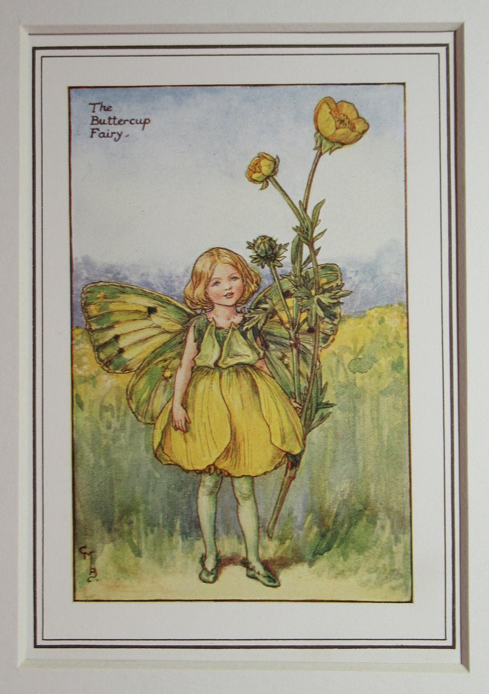 Flower Fairies/fairy: the BUTTERCUP FAIRY, Vintage Print, Rare, 1927 ...