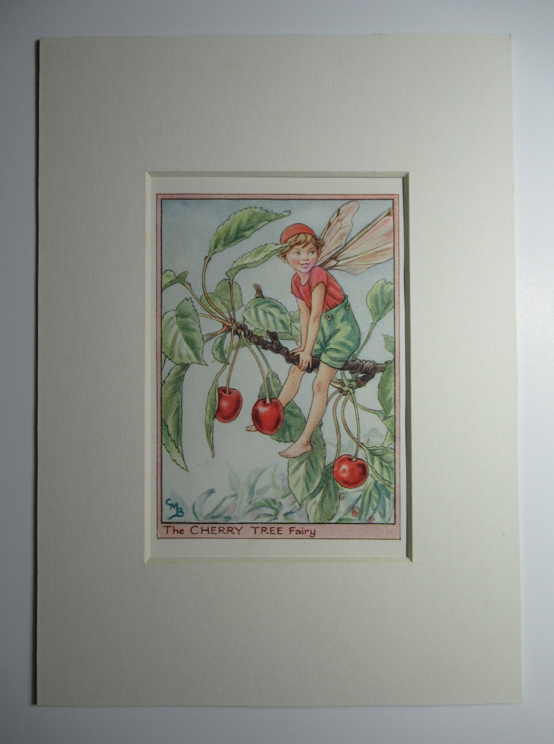 Flower Fairies/fairy: the CHERRY TREE FAIRY, Tree Fairy, Vintage Print ...