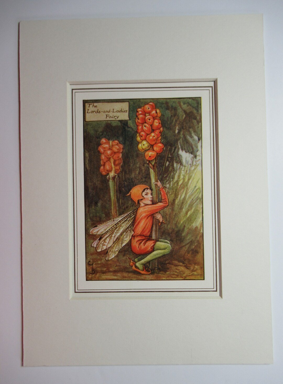 Flower Fairies/Fairy: The LORDS and LADIES FAIRY, vintage Print, Rare ...